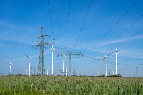 Energy Market Training Online & In-Person | Cornwall Insight